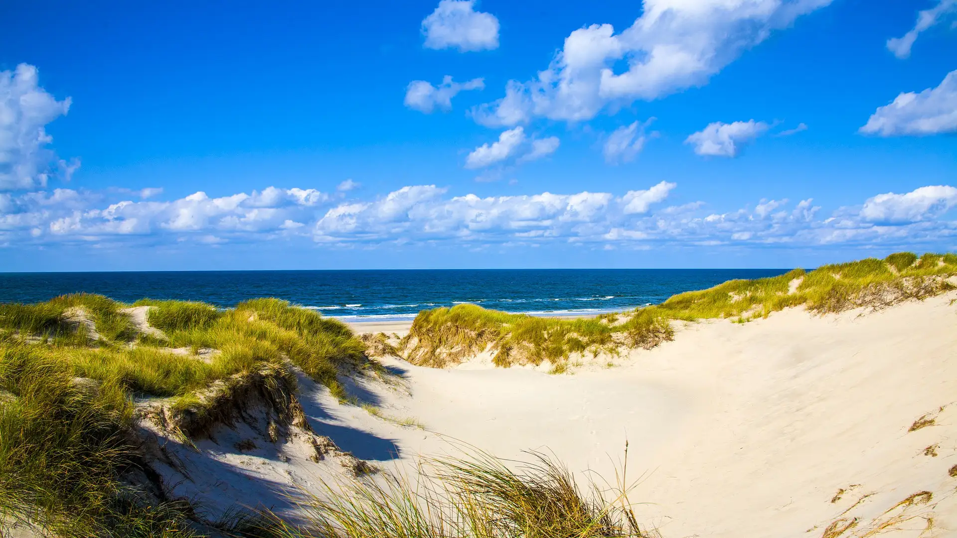 Contact Debbie Vuong MFT - Debbie Vuong MFT